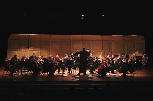 Mount Pleasant Chamber Orchestra performance planned for April 13th | Northeast Texas Community ...